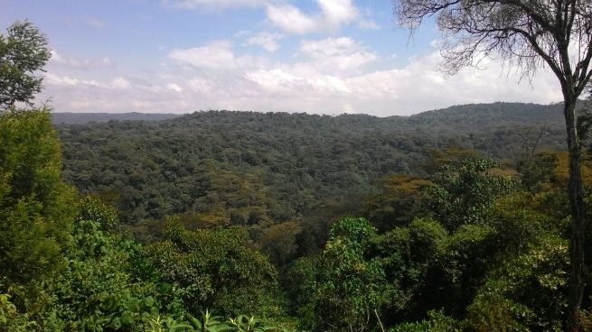 Tourism – Kiambu County Government